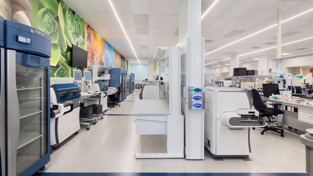 Services – Estructure